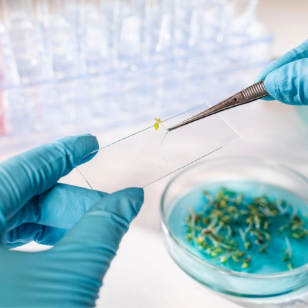 Scientific SaaS Enterprise Platform | Revvity Signals Software